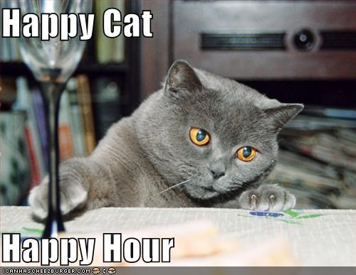 Happy Hour Lolcat