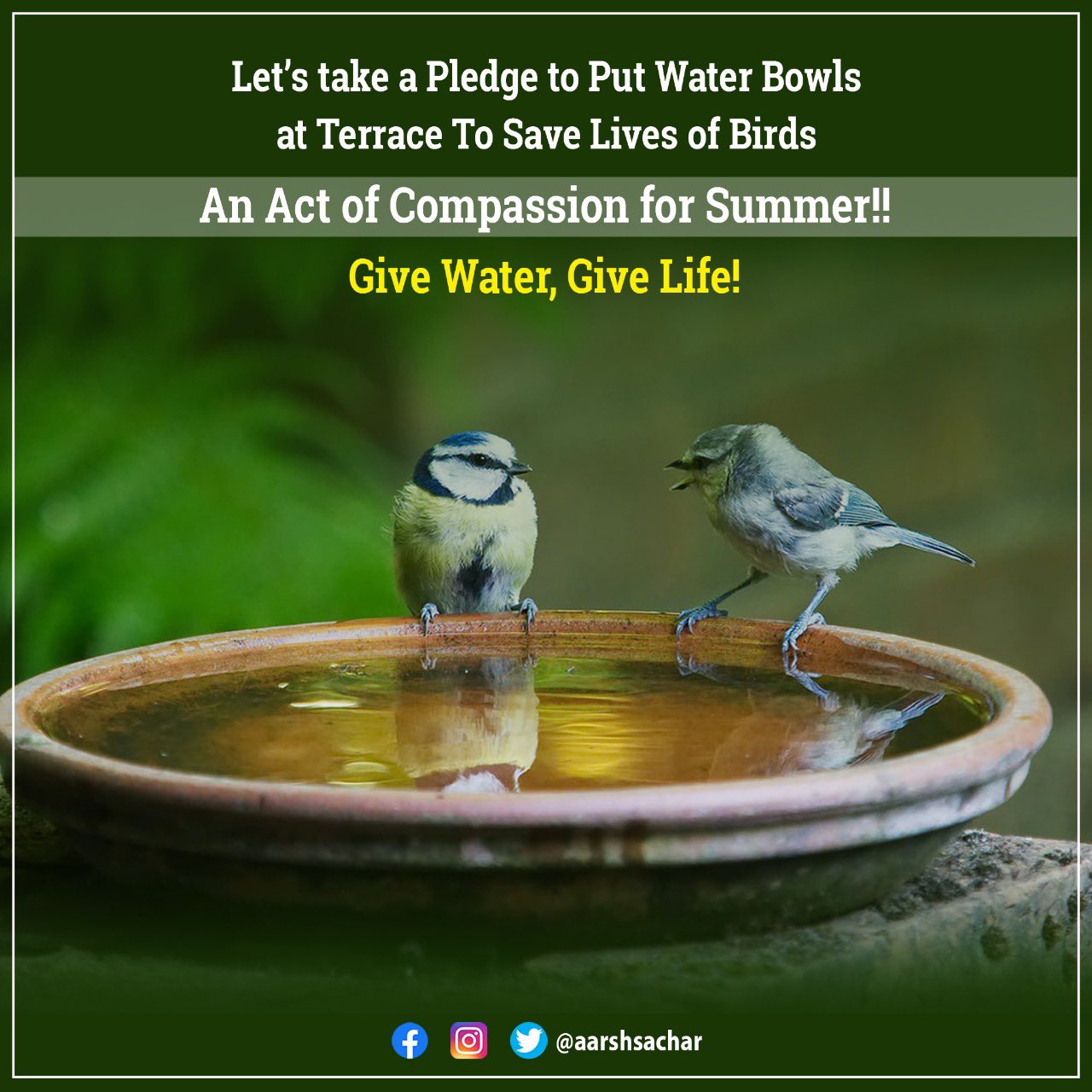 Bird Bath Quotes