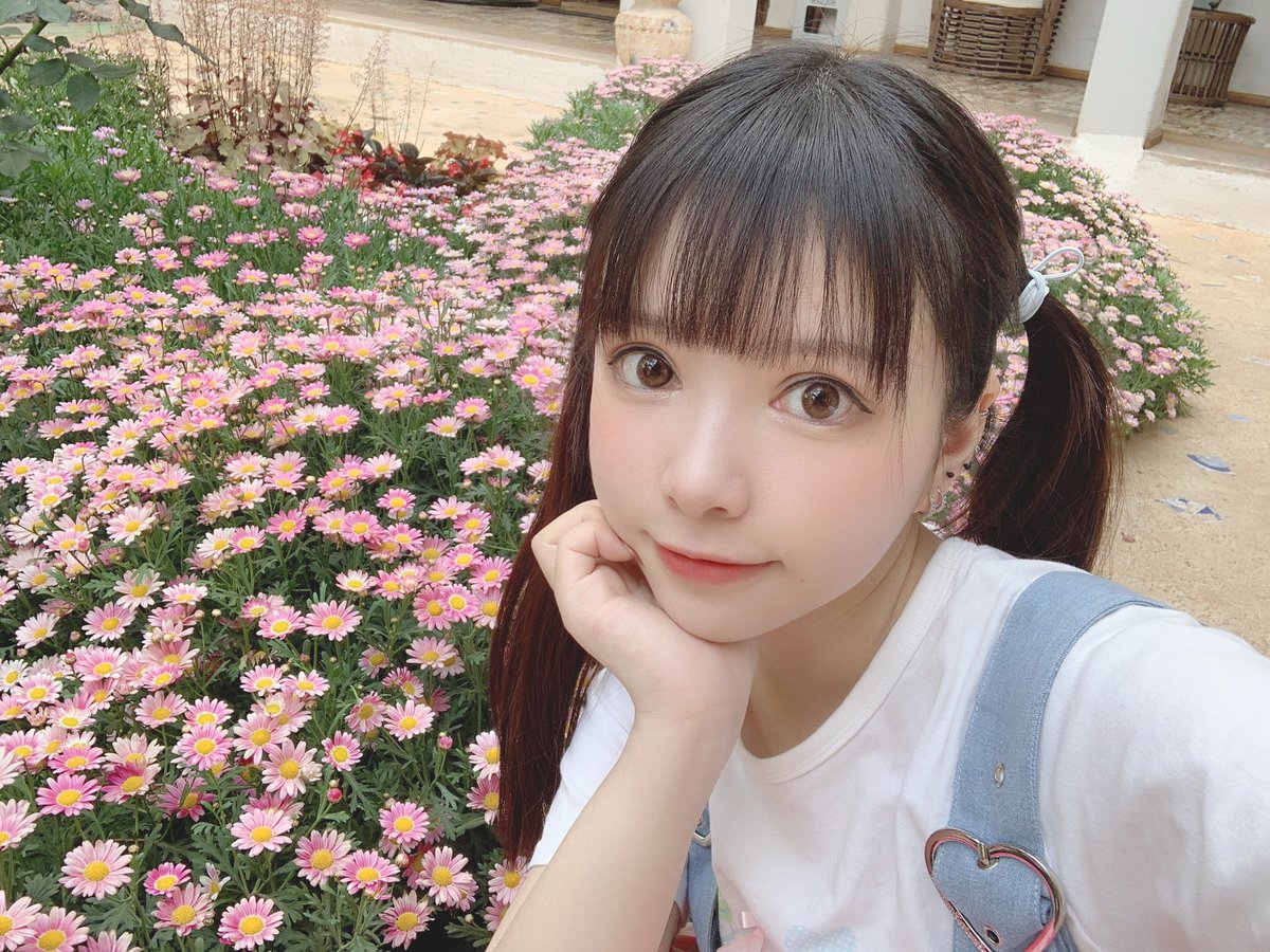 六二二同学(@sixtutu622 ):花見🌸