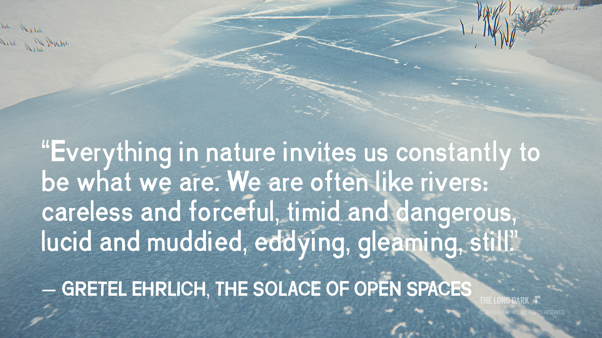 Wide Open Spaces Quotes