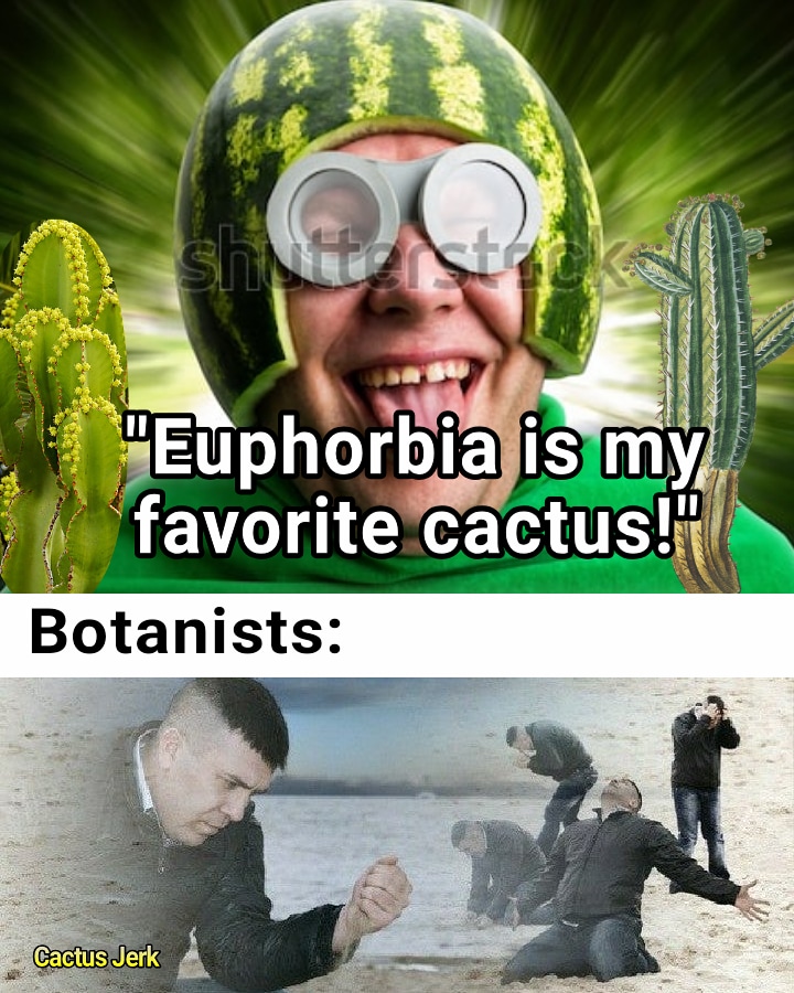 Botanist Memes