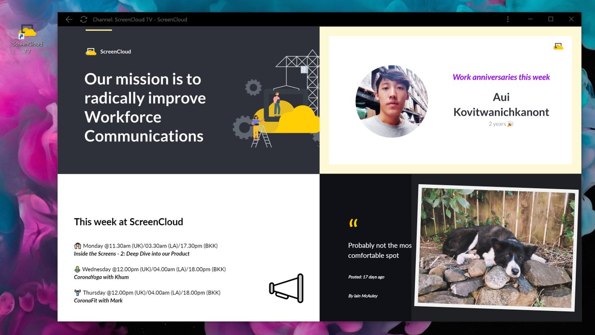 ScreenCloud on Twitter: "We’ve released Embeddable Channels, so you can play your company TV at ...