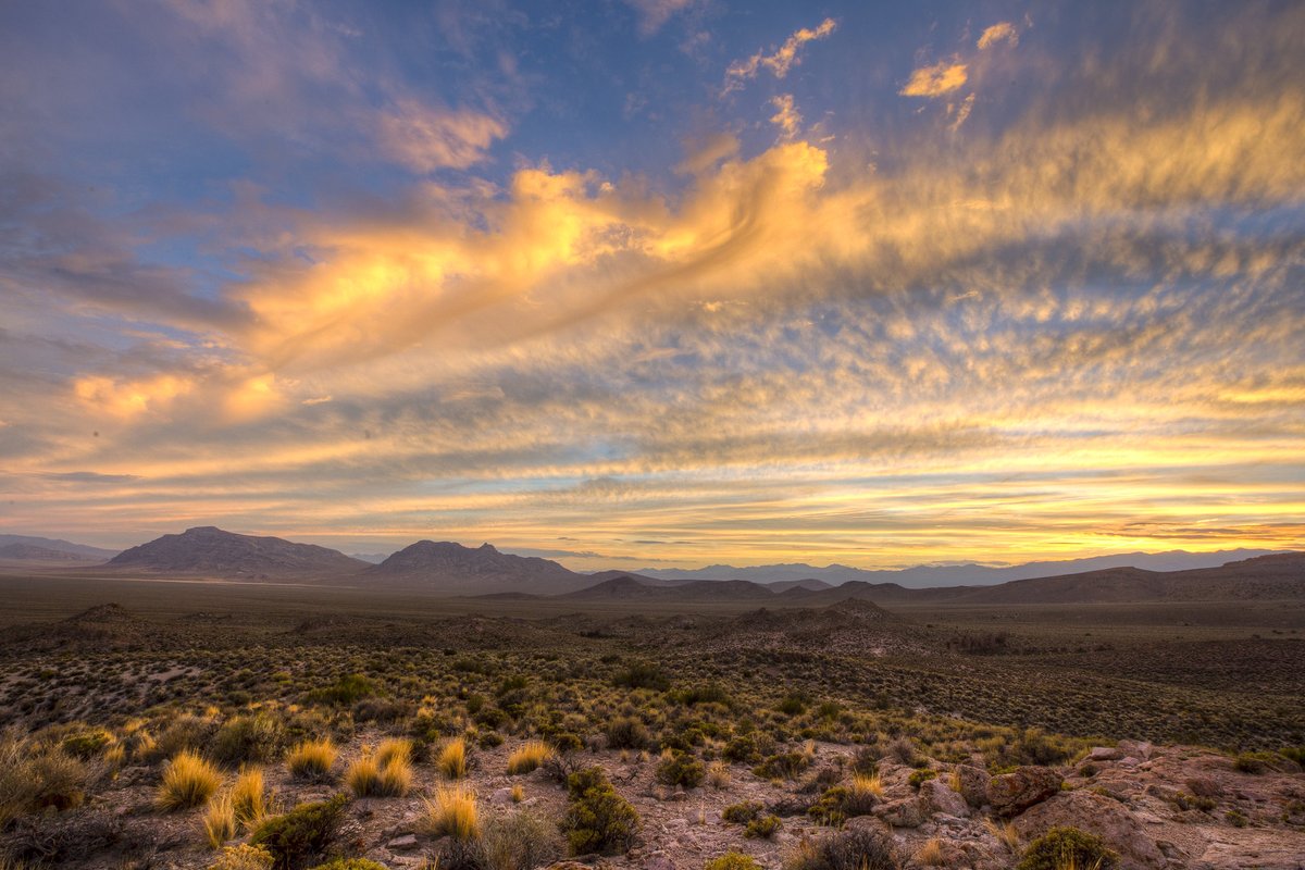 Basin and Range National Monument is famous for its empty spaces—but ...