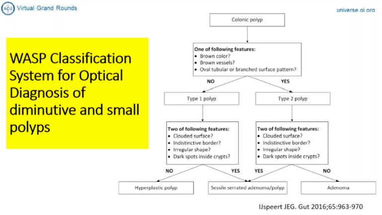 @AmCollegeGastro Virtual Grand Rounds - Serrated Polyps and SPS🔑 Pts: 🪚 ...
