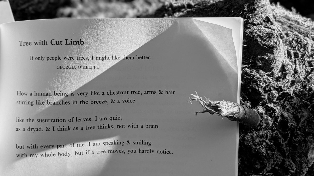 ViewMaster, Ryan Van Winkle and Dan Gorman | Made in Scotland Showcase