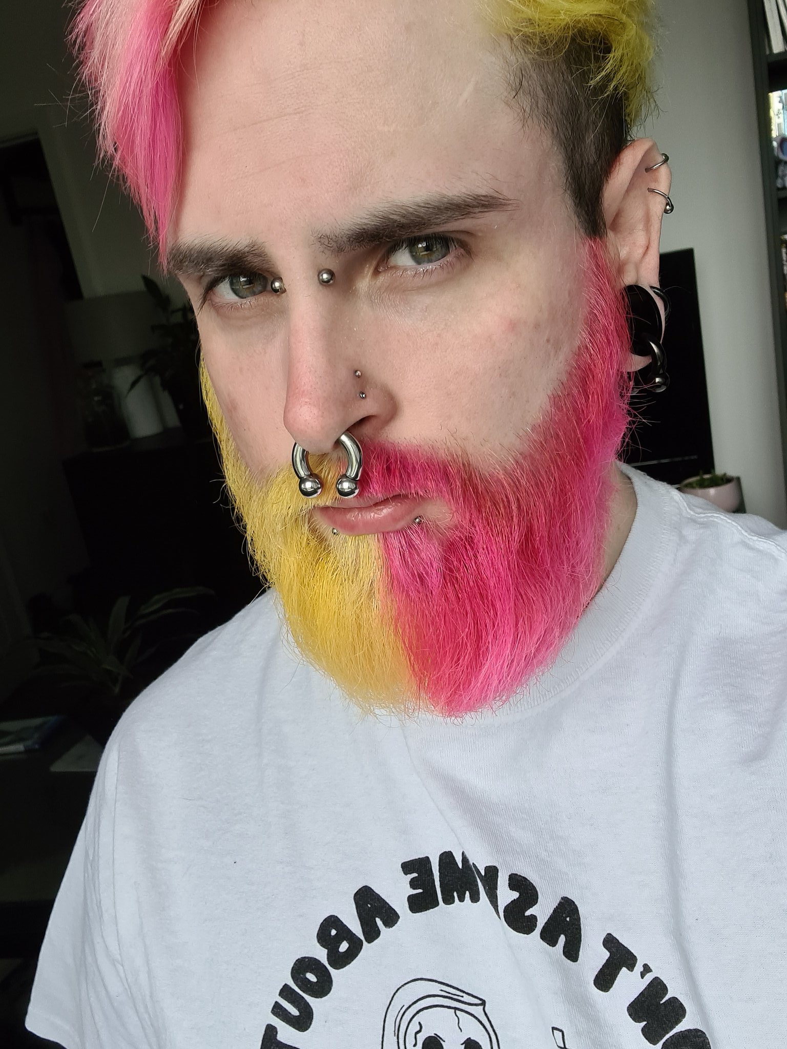 Alternative Guy Beard