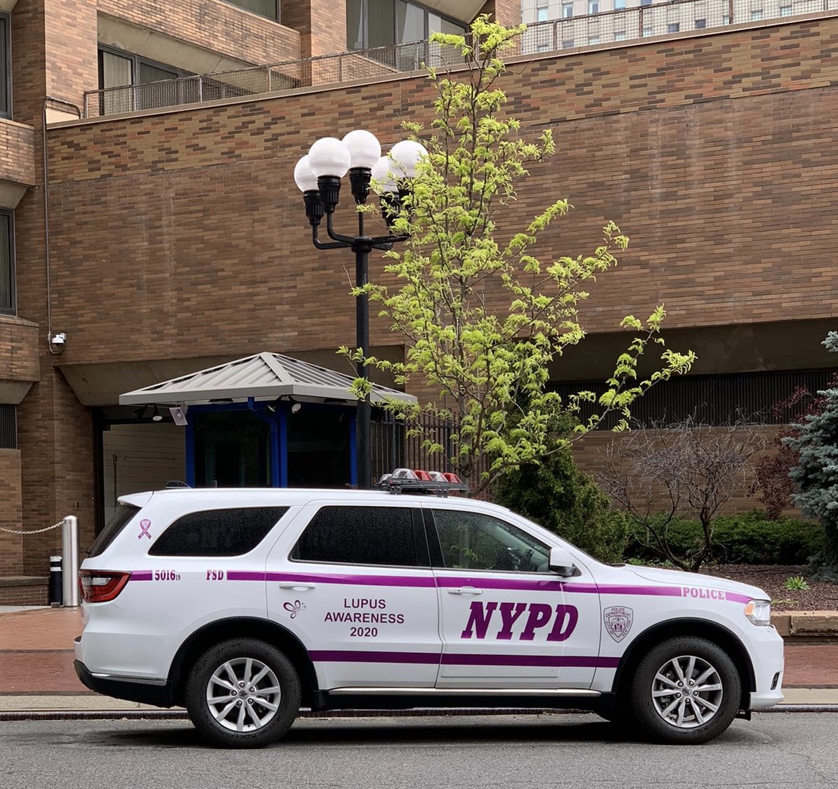NYPD 42nd Precinct on Twitter: NYPD 42nd Precinct on Twitter: