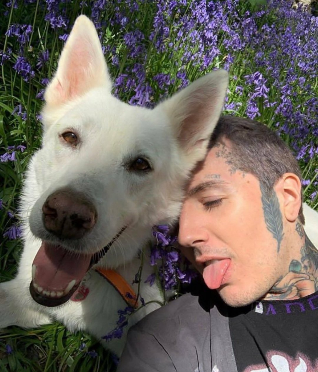 Oliver Sykes Dog