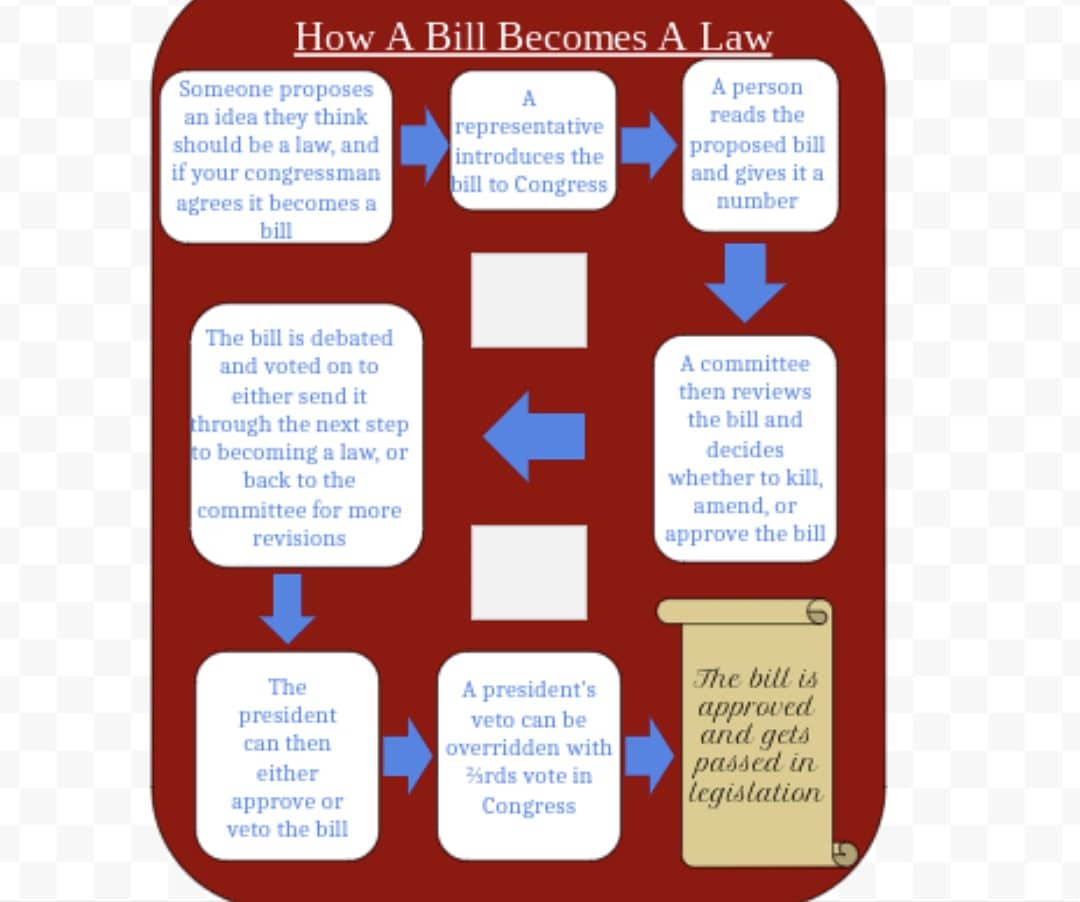 How A Bill Becomes A Law For Kids