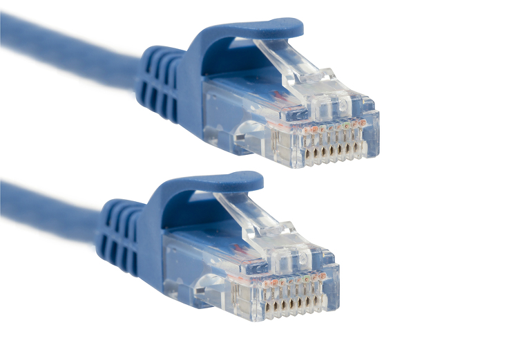 Network Cable Memes Lockstin 🩻 On X: "@DuoDracoAM A Robotic