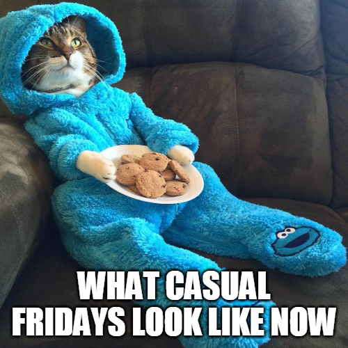 Funny Casual Friday Images