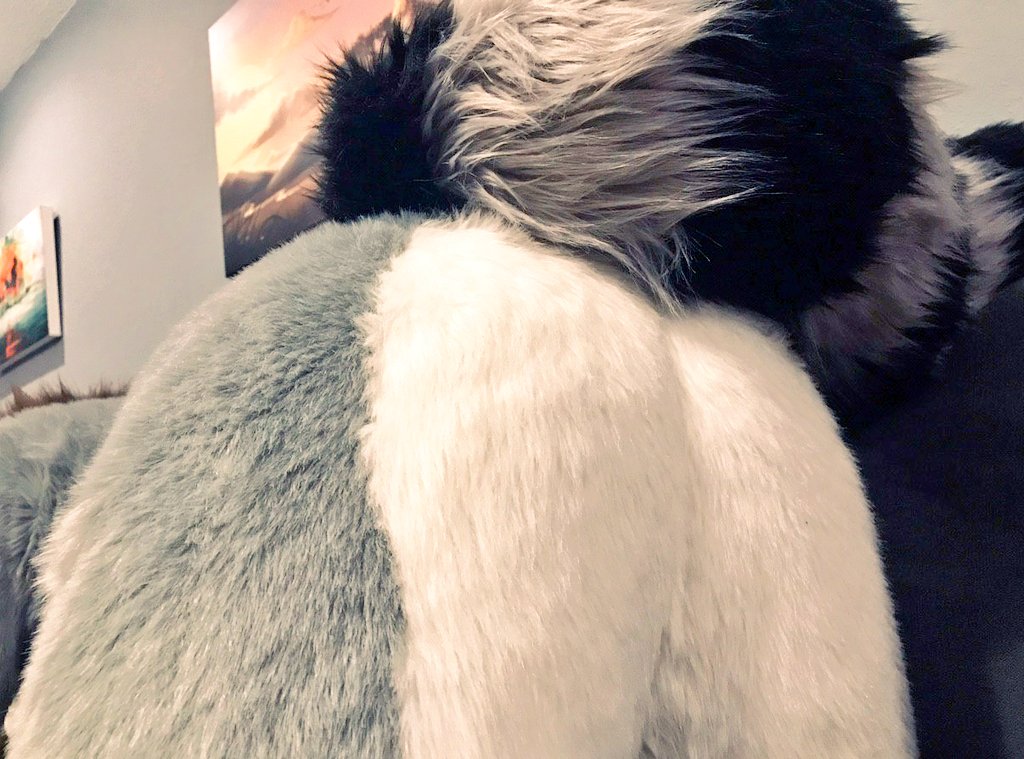 Strobes on Twitter: "RT @Indycoone: @SmellyStrobes Did someone say 𝓯𝓾𝓻𝓼𝓾𝓲𝓽 𝓫𝓾𝓽𝓽𝓼? 🍑 https://t.co ...