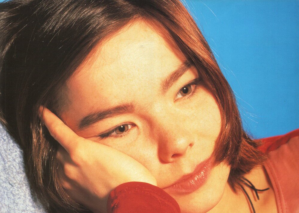 Bjork 1991