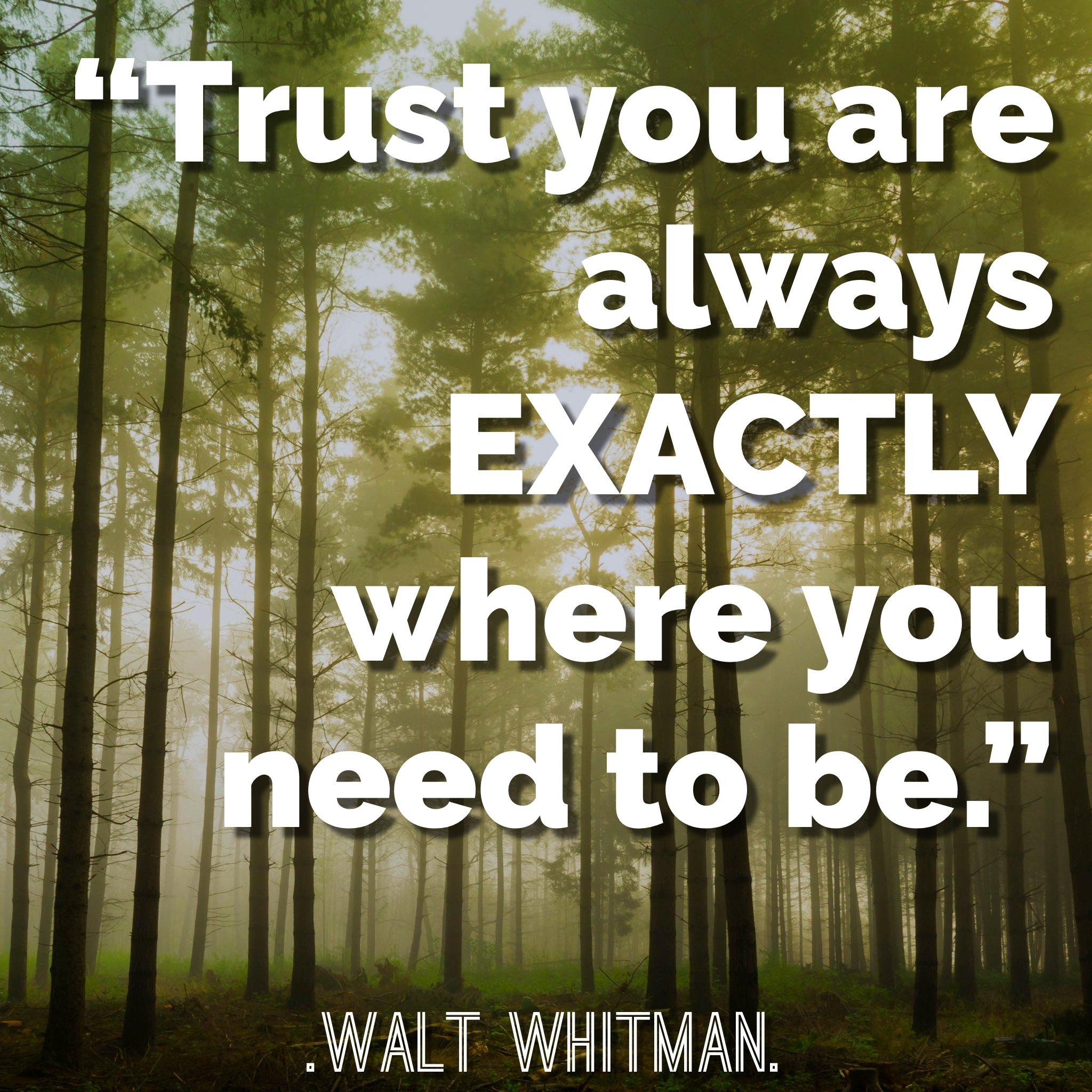 Walt Whitman Nature Quotes 15 Inspiring Walt Whitman Quotes