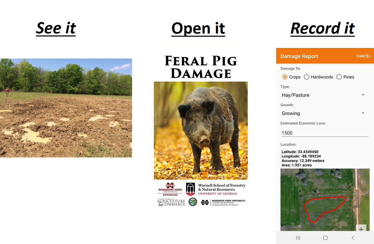 Colby Sharp (@sharpbiologist) | Twitter