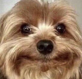 Smiling White People