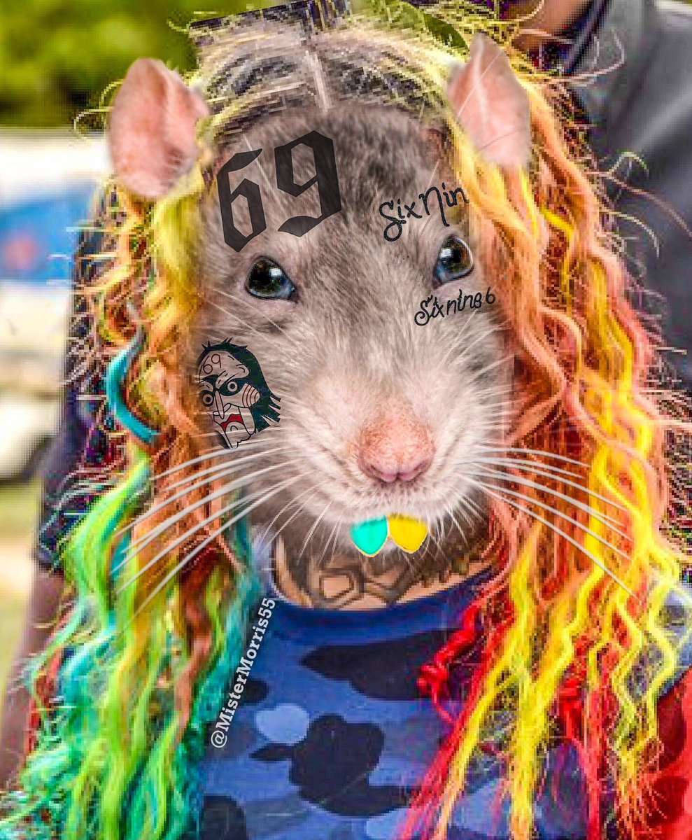 Just caught a rat | Page 5 | Sherdog Forums | UFC, MMA & Boxing Discussion