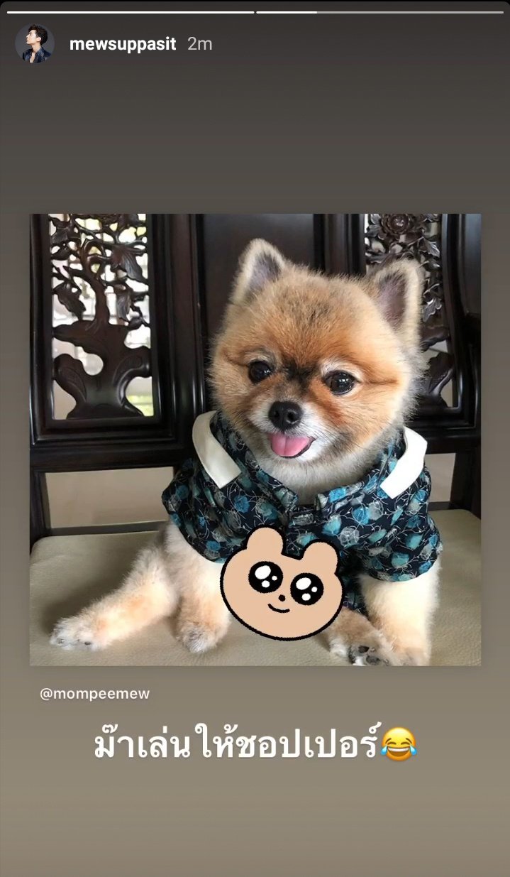 Mewlions Philippines on Twitter: "05/09/2020 💛 https://t.co/jDGCU1HkBB" / Twitter