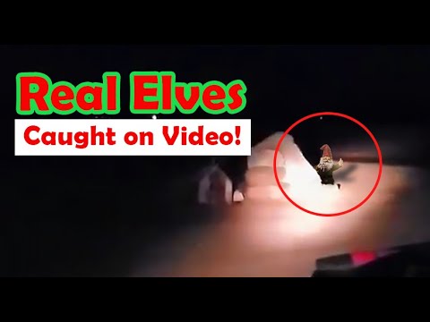 Real Elves Sightings