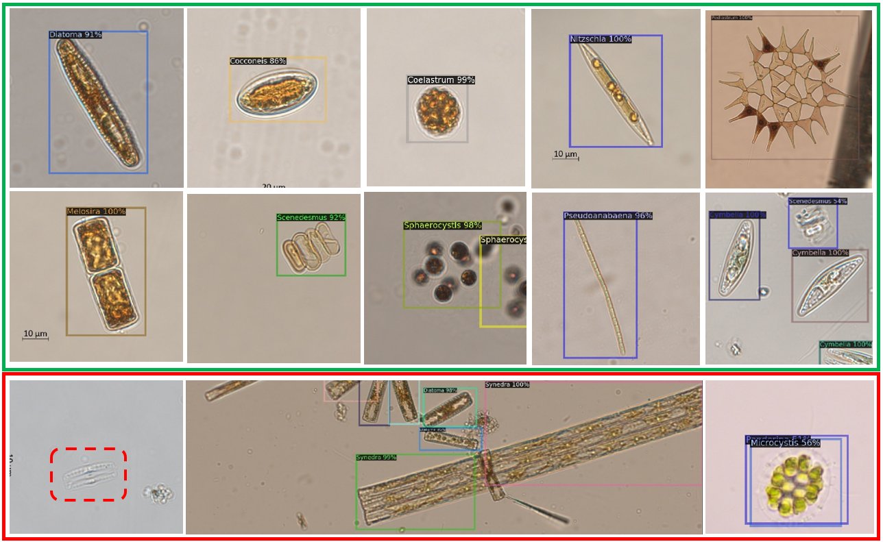 arxiv on Twitter: "Multi-Target Deep Learning for Algal Detection and Classification. https://t ...