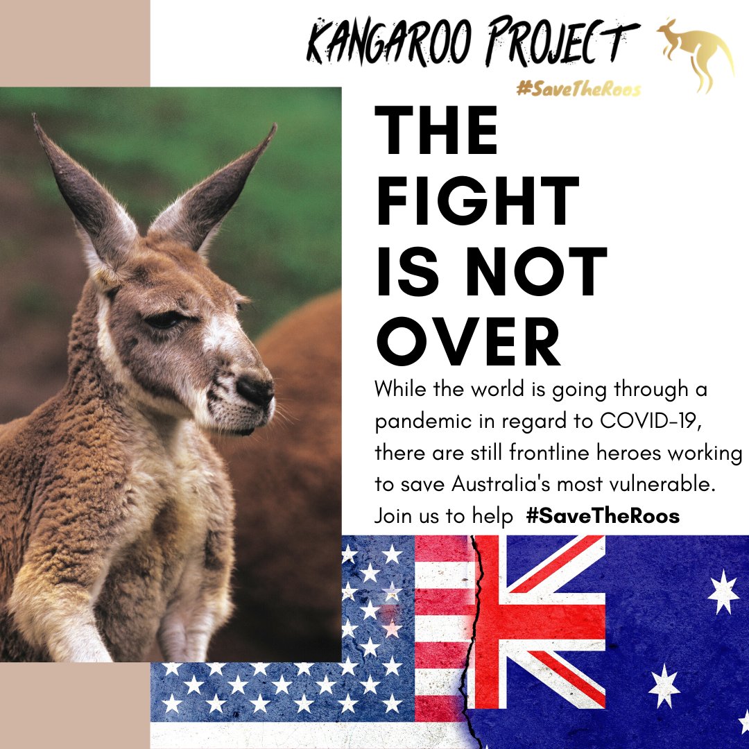 Kangaroo Project on Twitter: "While the world is going through a ...