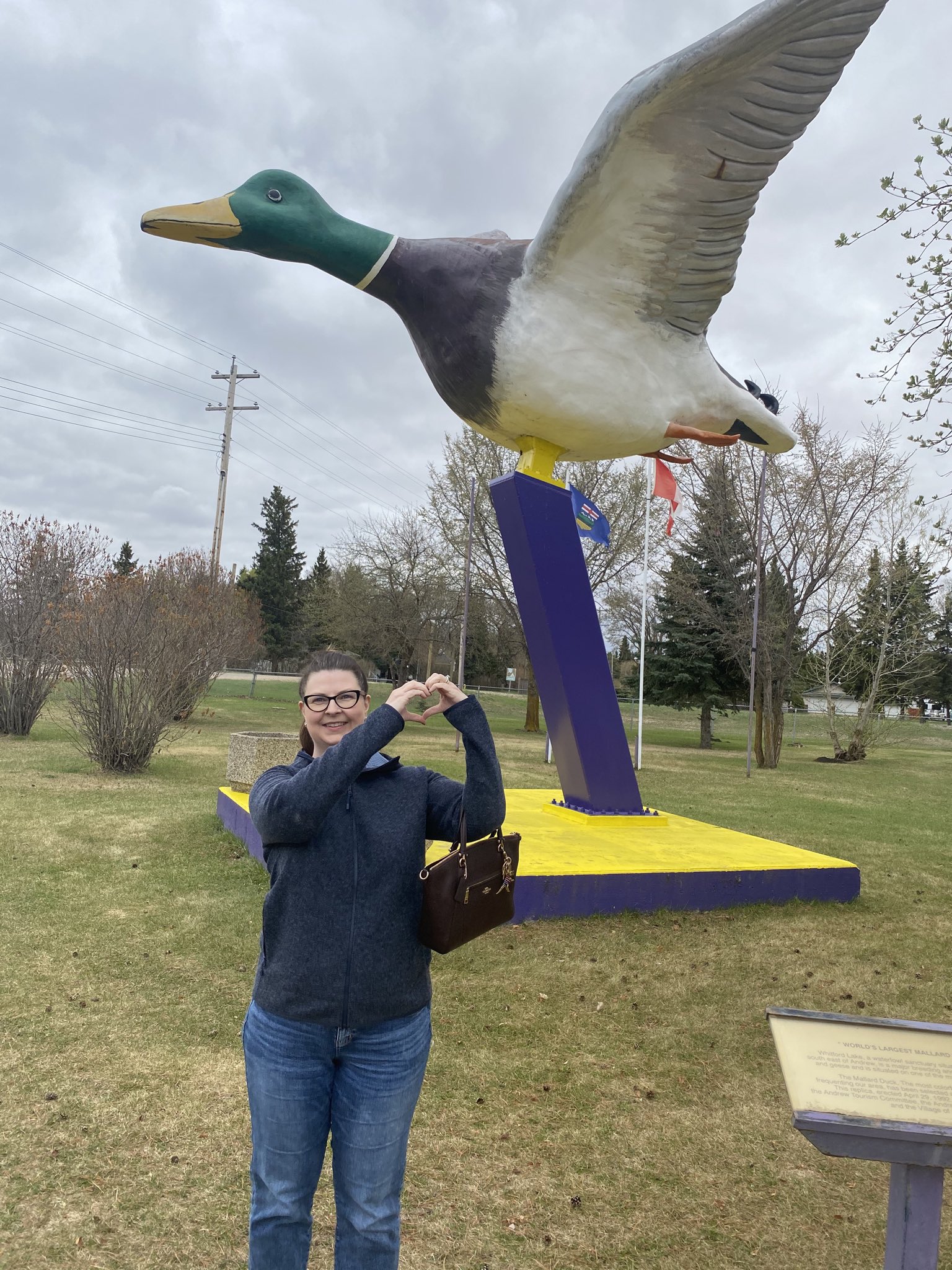 Biggest Duck In The World
