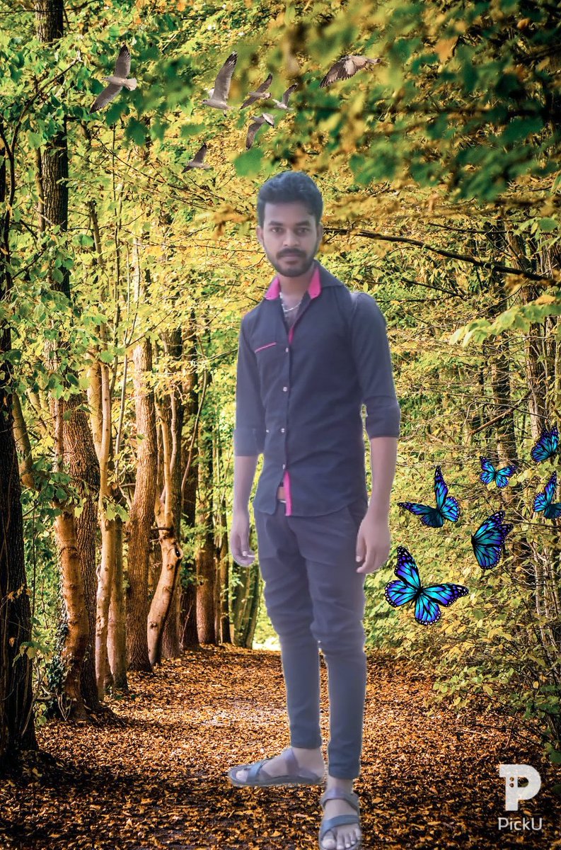 Md Aftab Alam (@MdAftab86836315) | Twitter