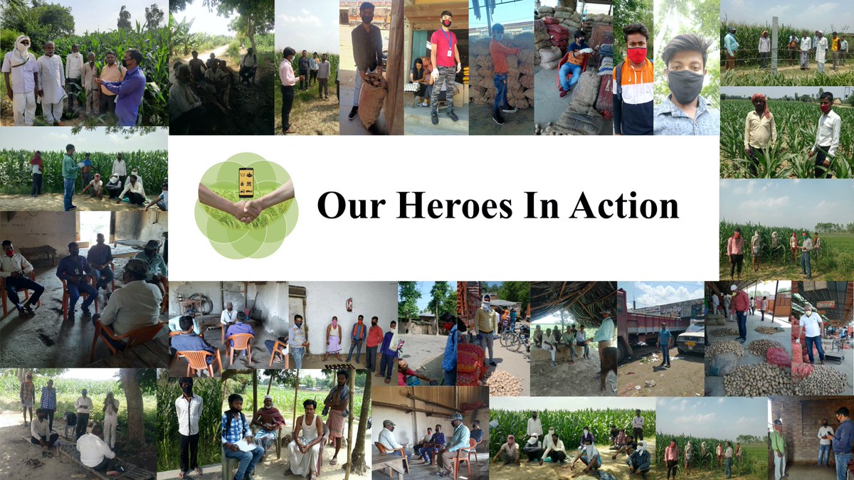 Kisan Network | AmbitionBox