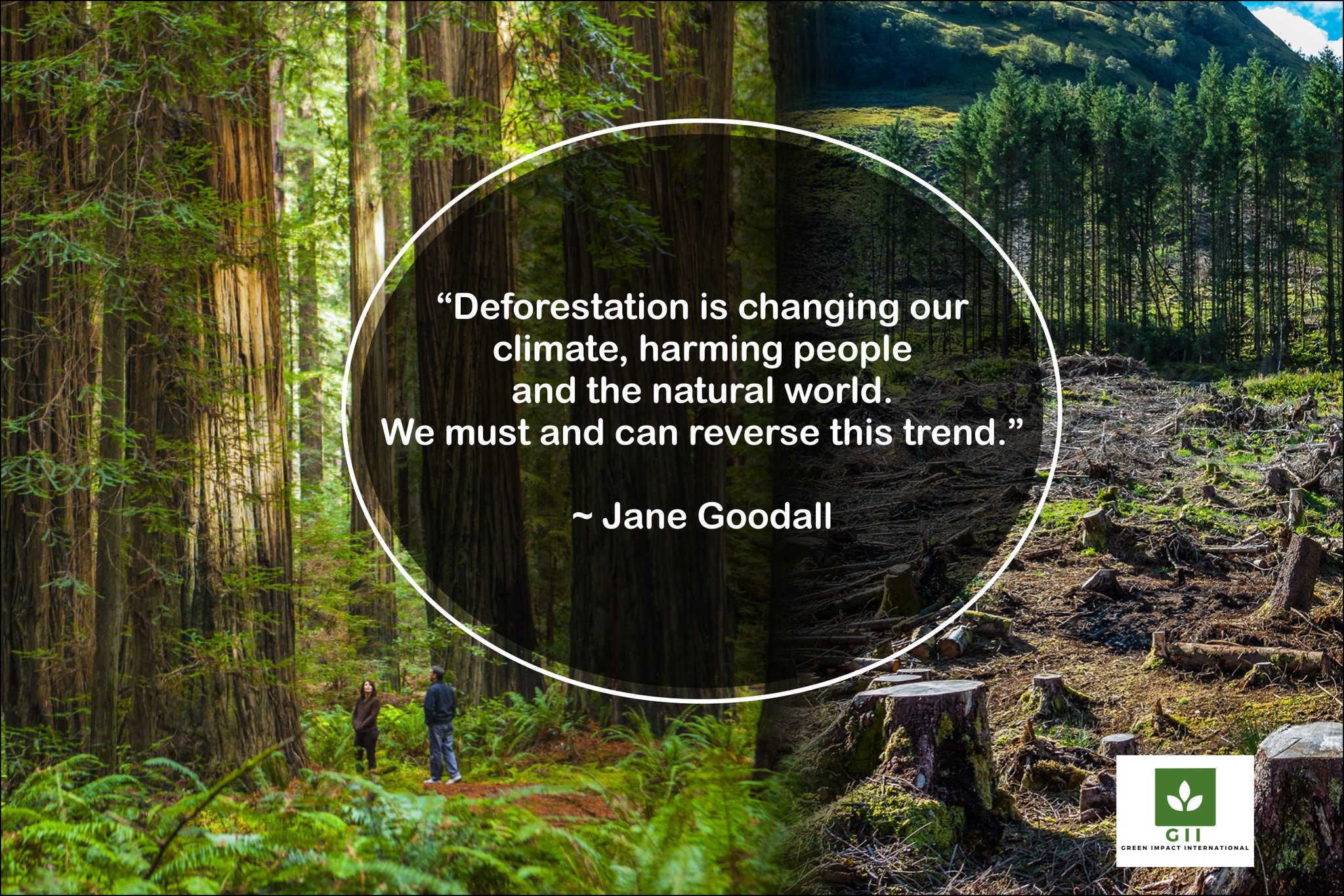 Famous Deforestation Quotes