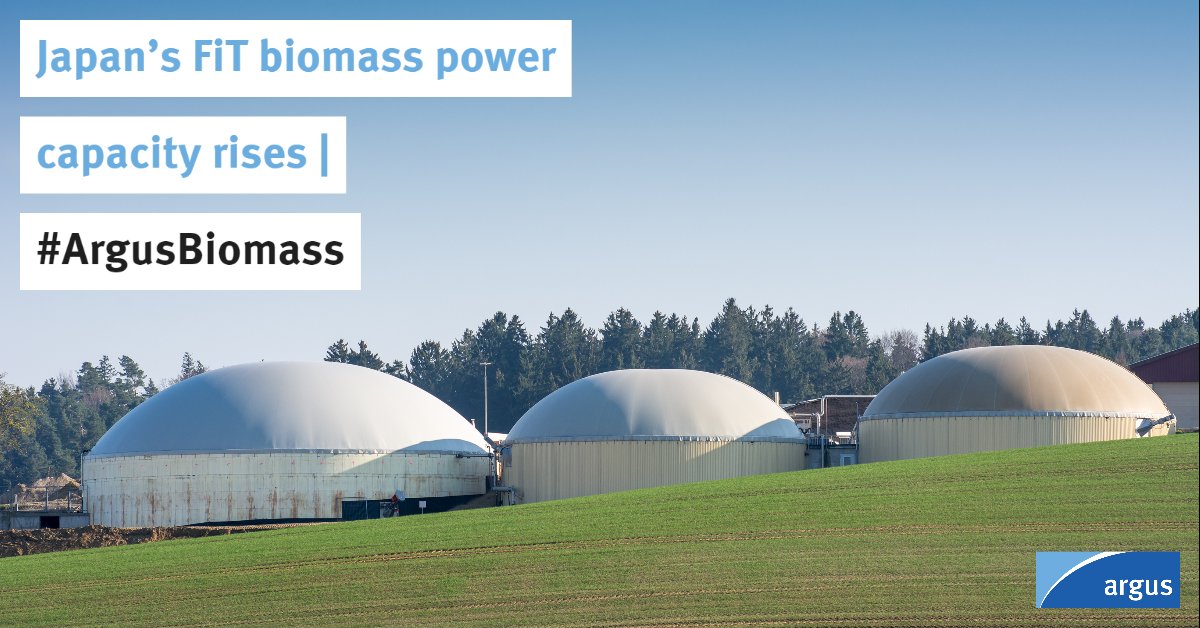 Japan's 2019 biomass powergeneration generation capacity under the ...