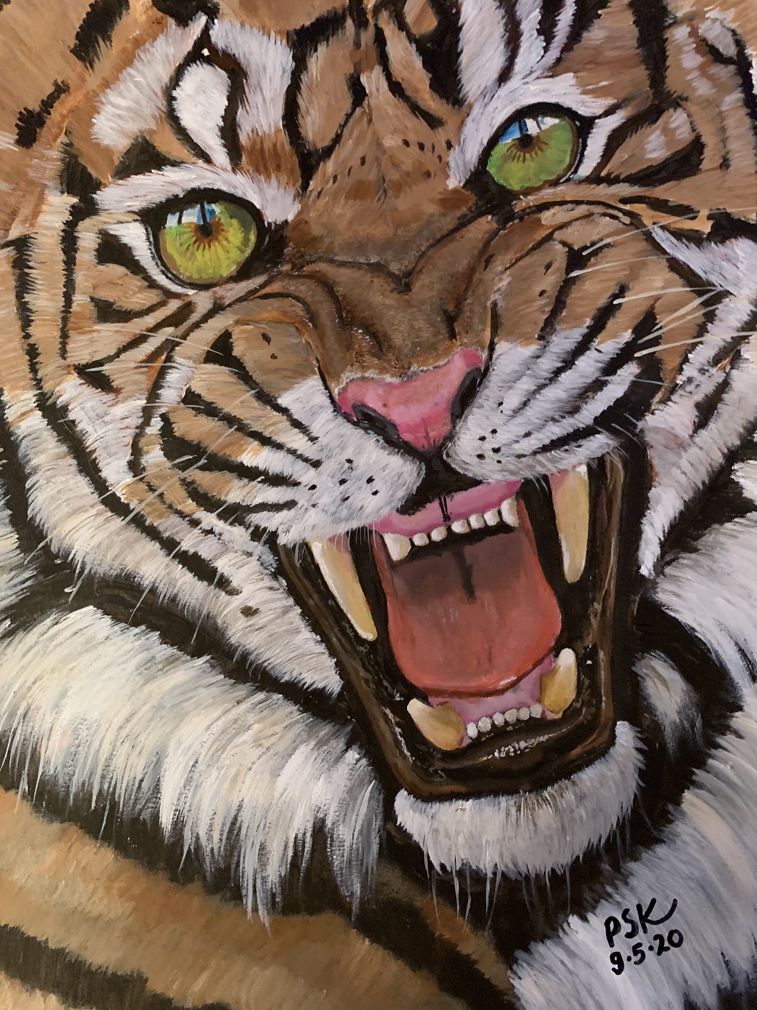 Growling Tiger Drawing