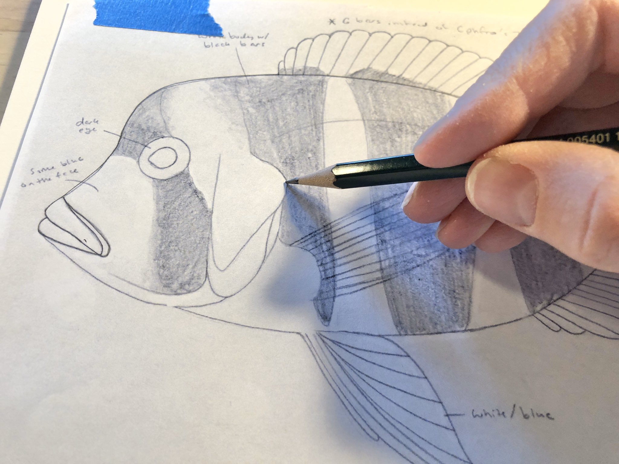 Fish Scientific Illustration