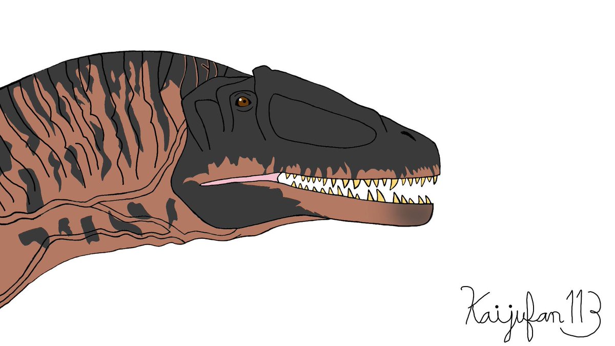 Carcharodontosaurus Vs Mapusaurus