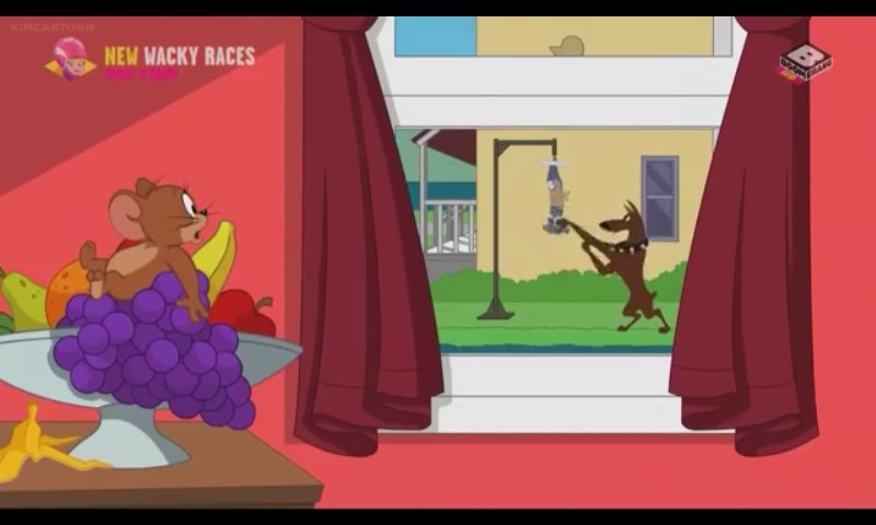 Tom And Jerry Boxing