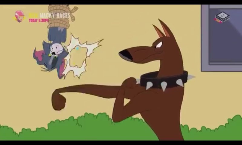 Tom And Jerry Boxing