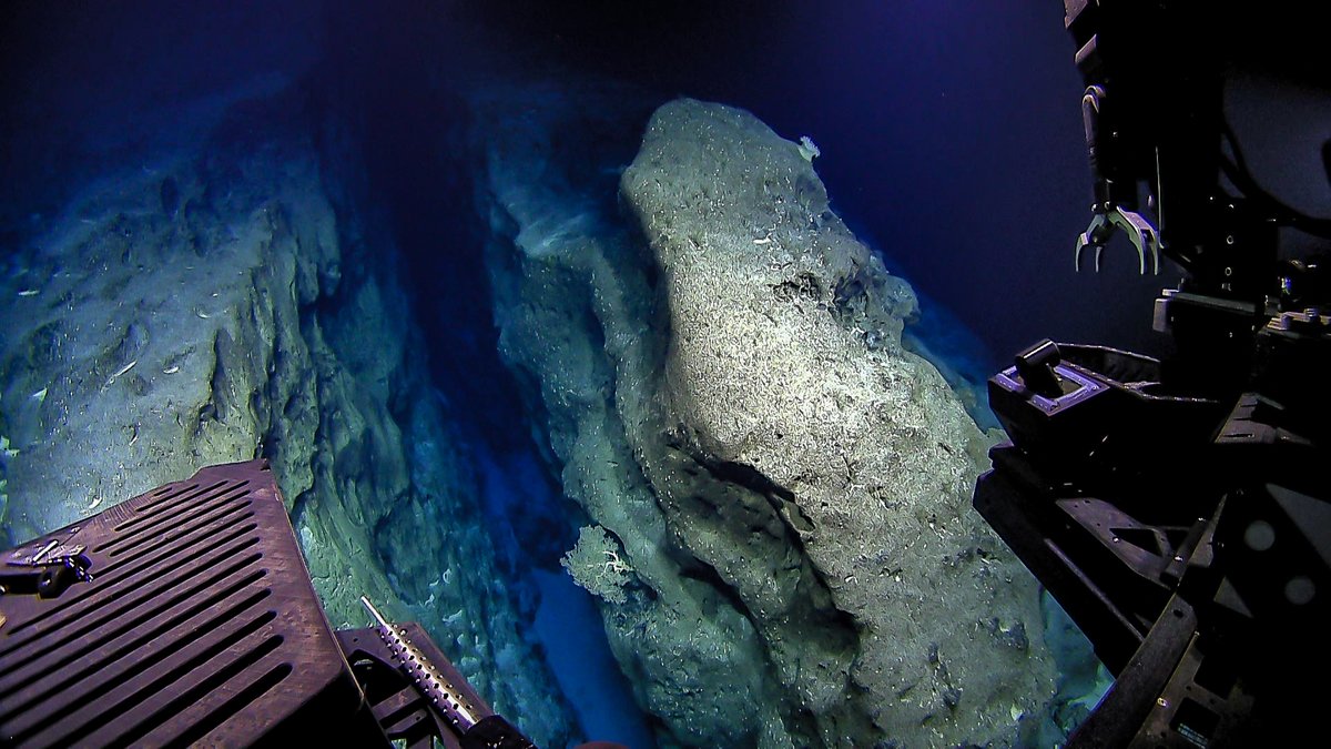 This week, we are taking a look at some of the seafloor structures ...
