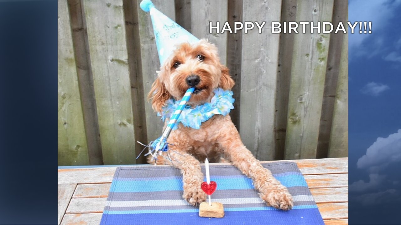 Meme Happy Birthday Storm 34 Birthdays Ideas | Birthday Meme, Birthday