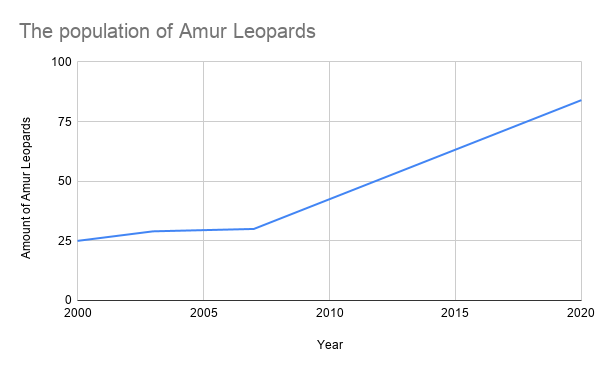 Amur Leopard Population Graph