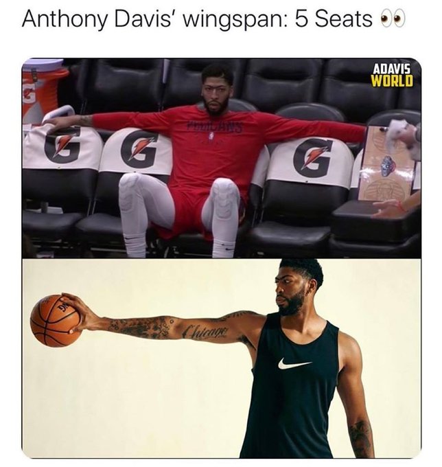 Anthony Davis Wingspan