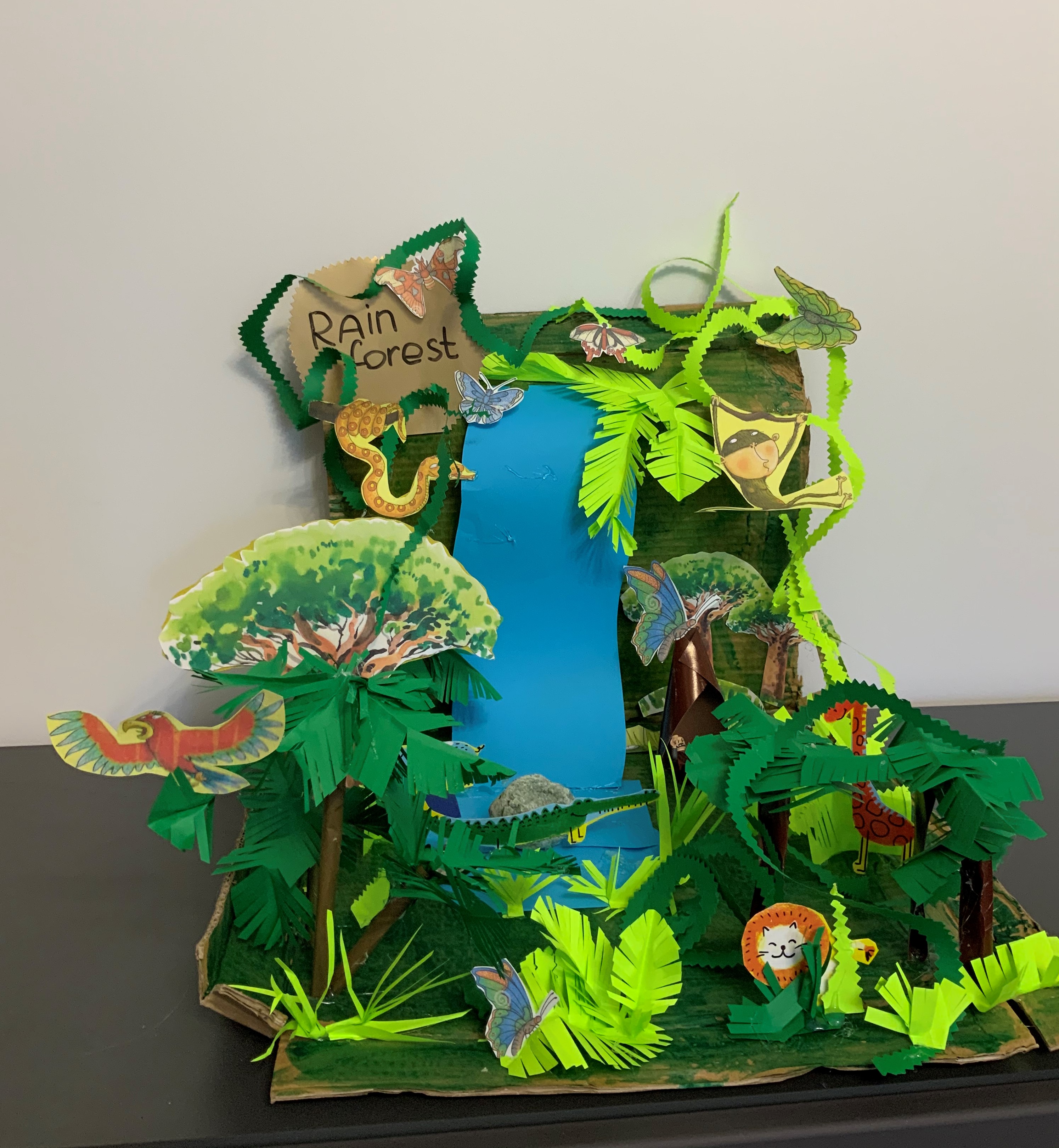 Tropical Rainforest Ecosystem Project