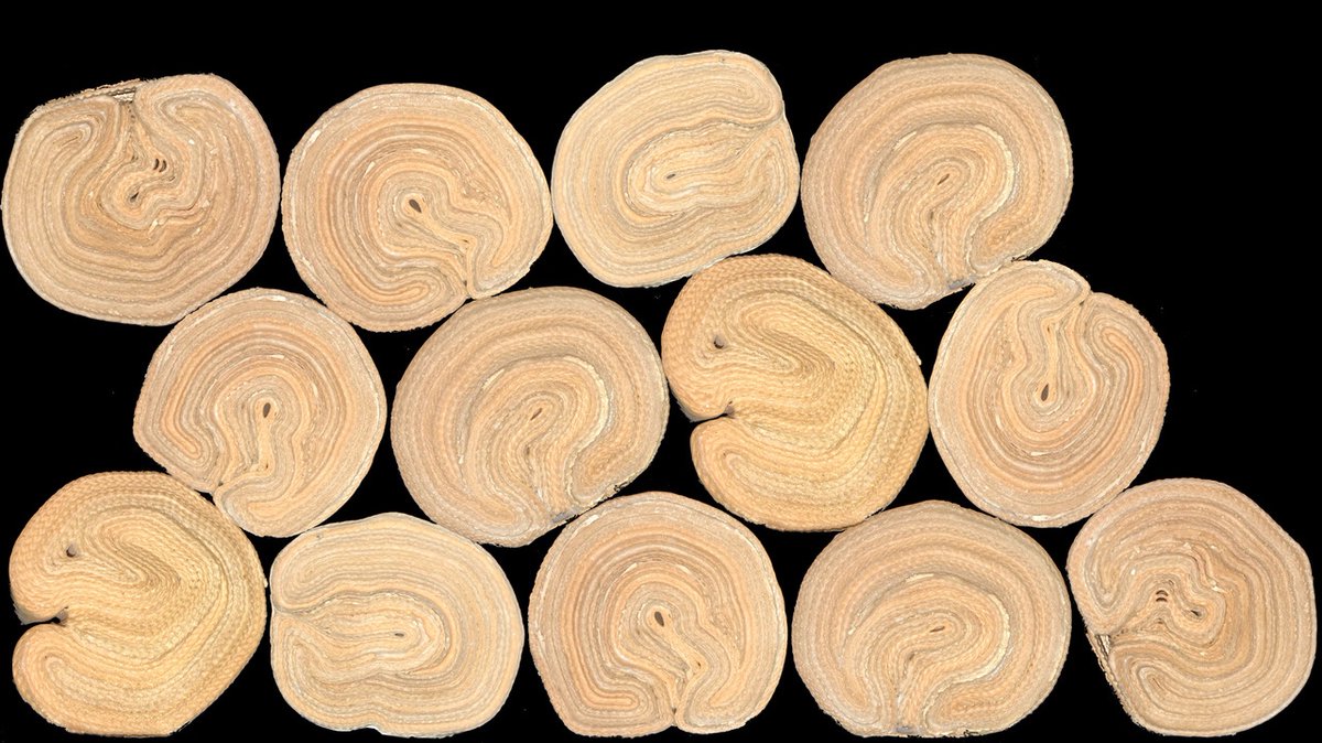 MAP OOO (@map_ooo) | Twitter