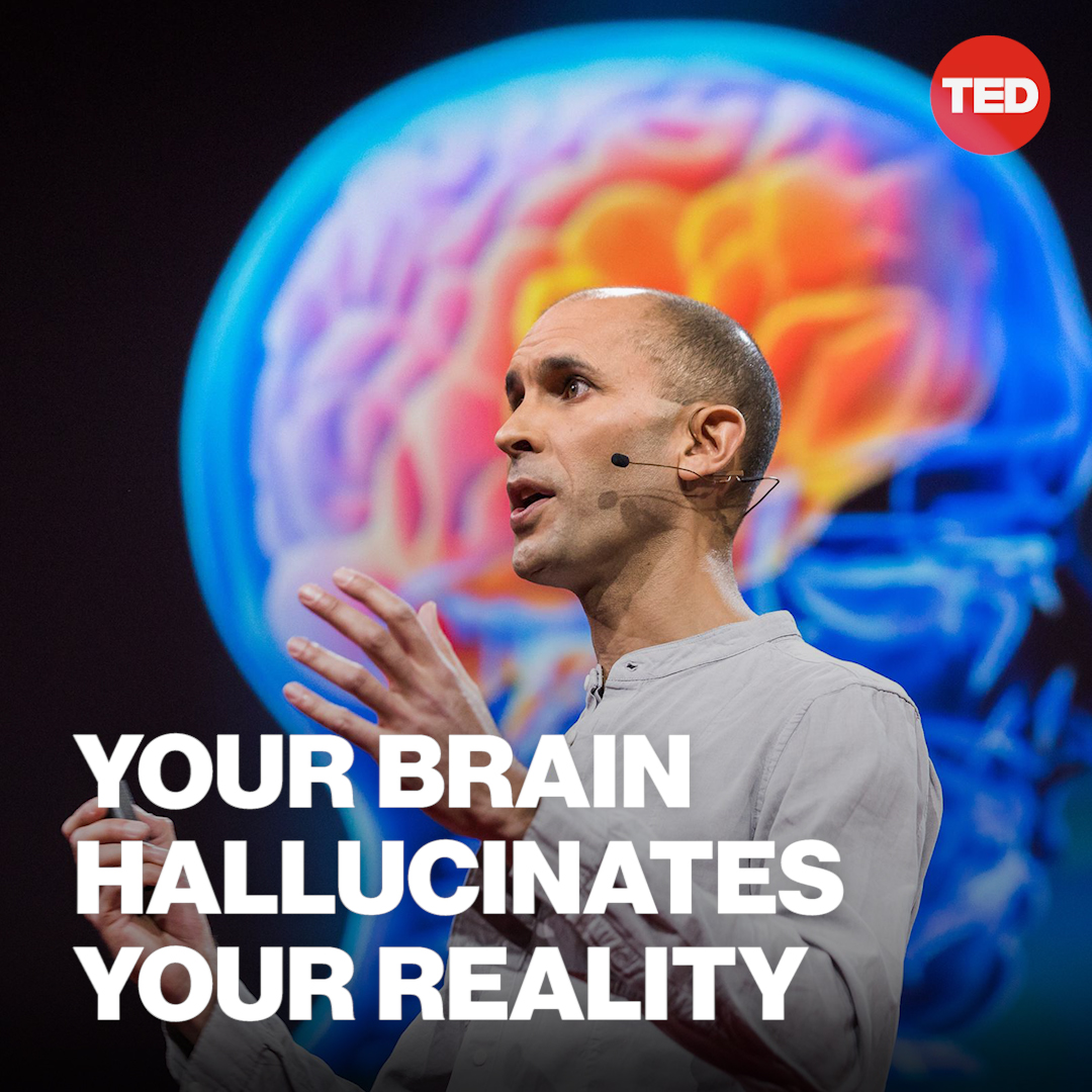 "We're all hallucinating all the time, including right now. It's just ...