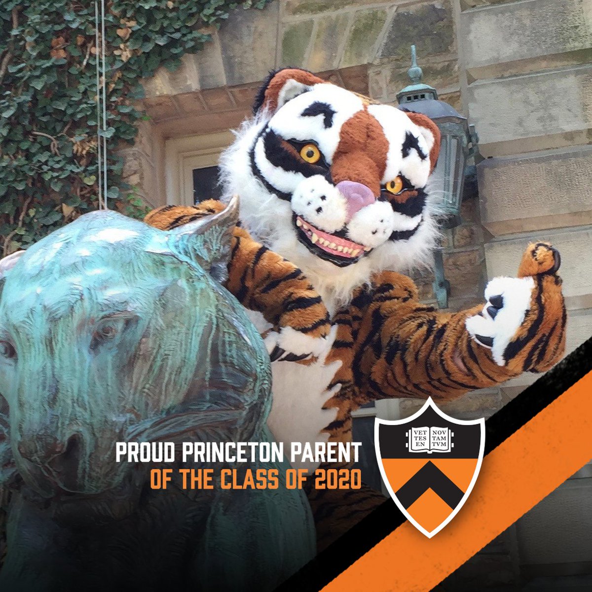 Princeton University Tigers