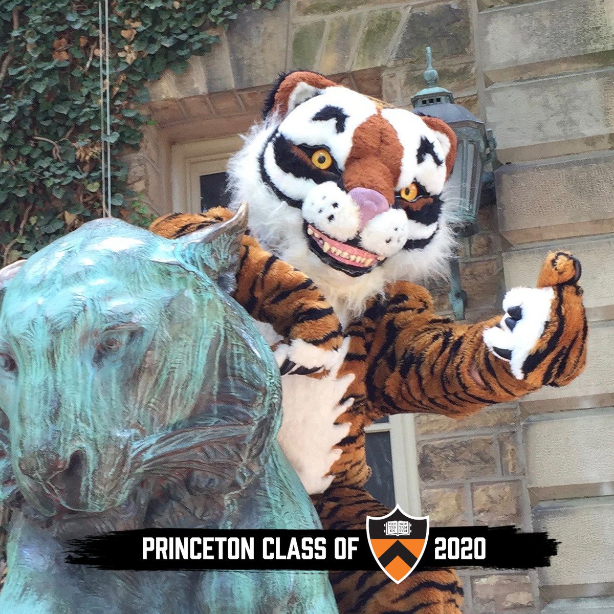 Princeton Tiger Mascot