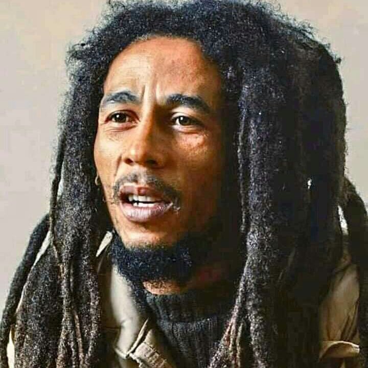 Natty Dread Hairstyle