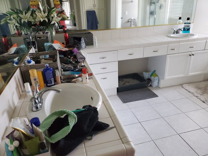 TW Pornstars - Dee Williams 💕. The most liked pictures and videos from ...