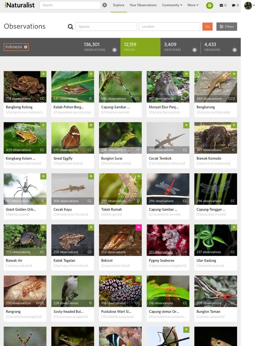 Fixed Plants With Names