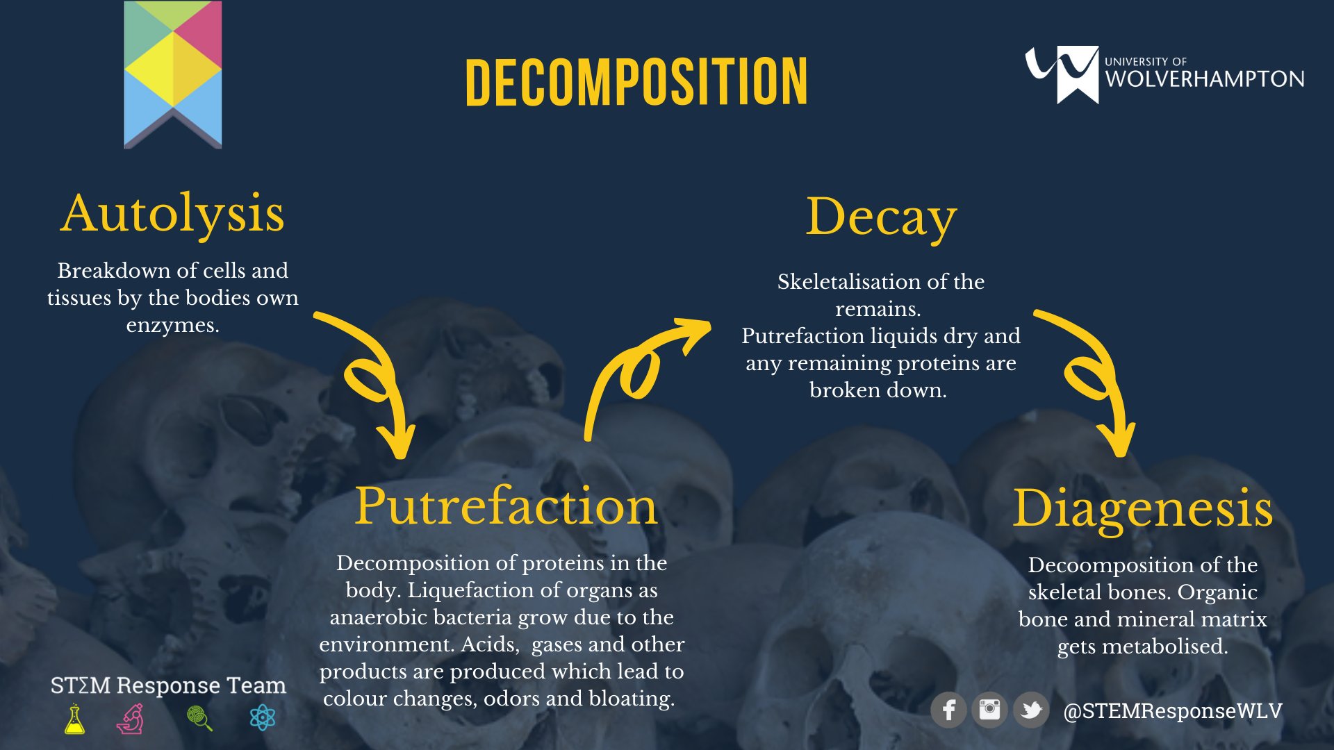 Putrefaction Bloating