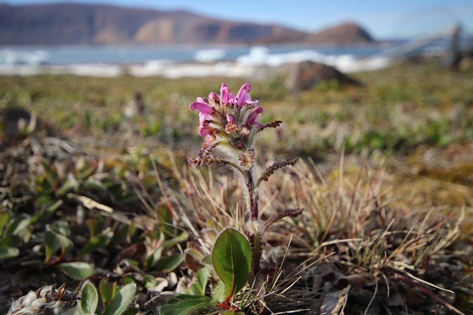 A Thread from @realscientists: "In the summer of 2018, I joined the ...