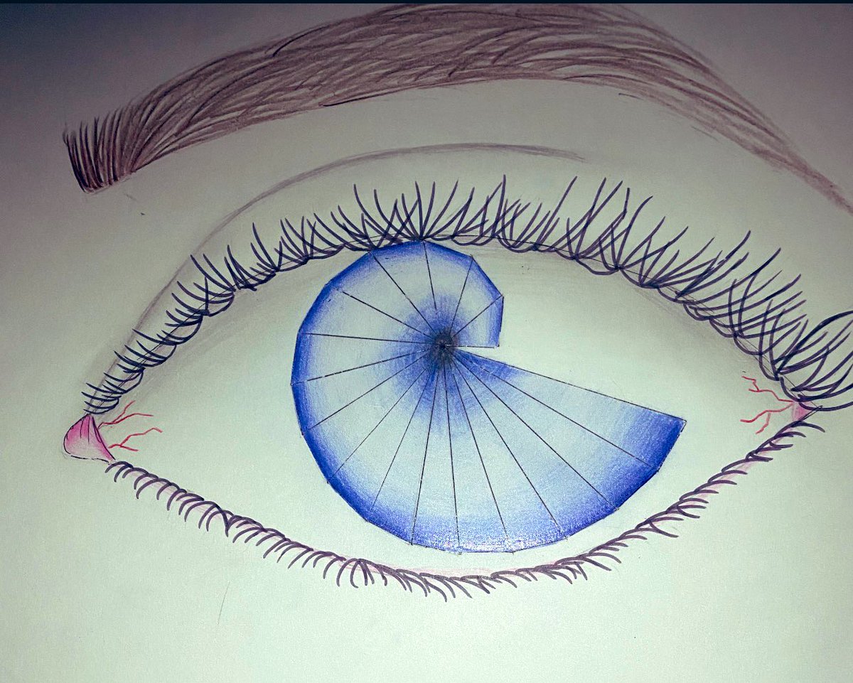 Creative Pythagorean Spiral